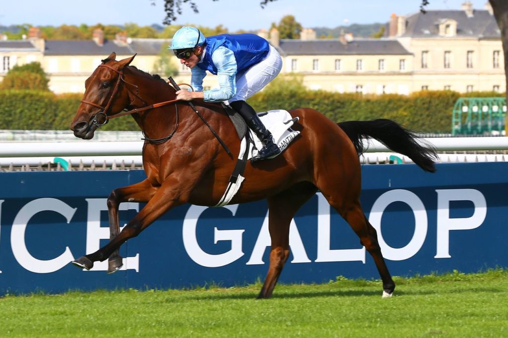 Kiss City Mag – Passion Cheval